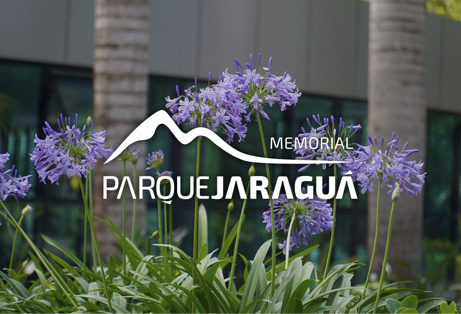 Como consultar certidão de óbito pelo nome na Internet? - Memorial ...